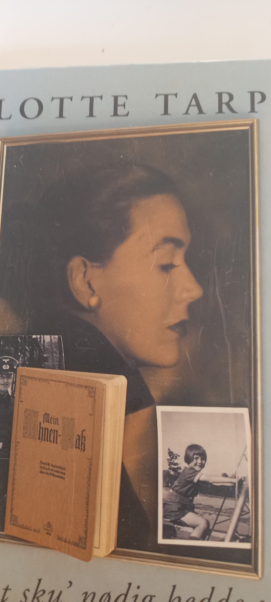 Det sku nødigt hedde sig af Lotte Tarp - Boganmeldelser Boginspiration ...