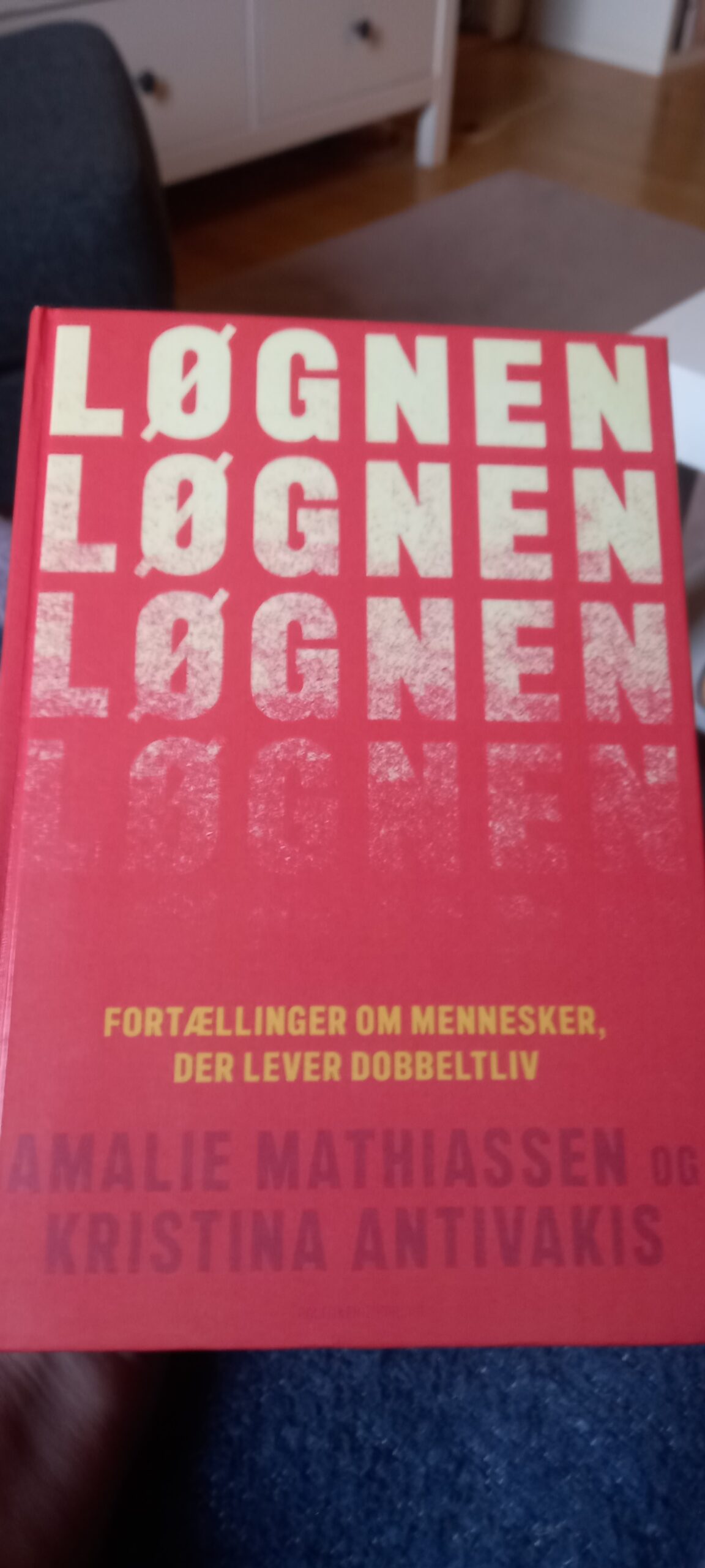 Løgnen af Amalie Mathiassen - Boganmeldelser Boginspiration Bogblog